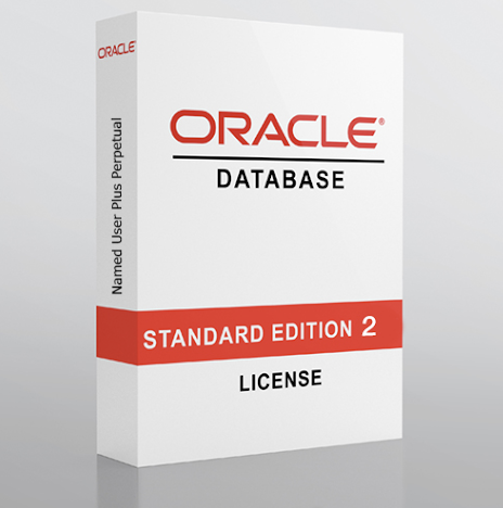 Oracle Database Standard Edition 2 - Named User Plus Perpetual